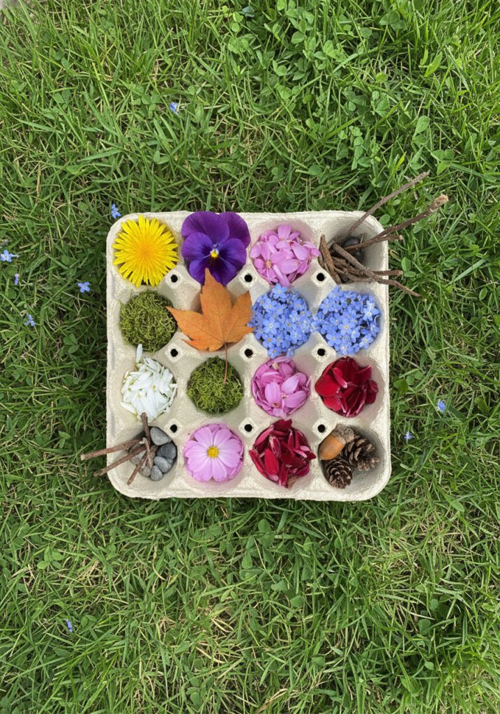 Egg Carton Nature Color Hunt: Fun Outdoor Activity for Kids