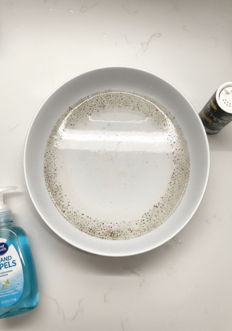 Soap & Pepper Experiment: Get Kids to Actually Use Soap
